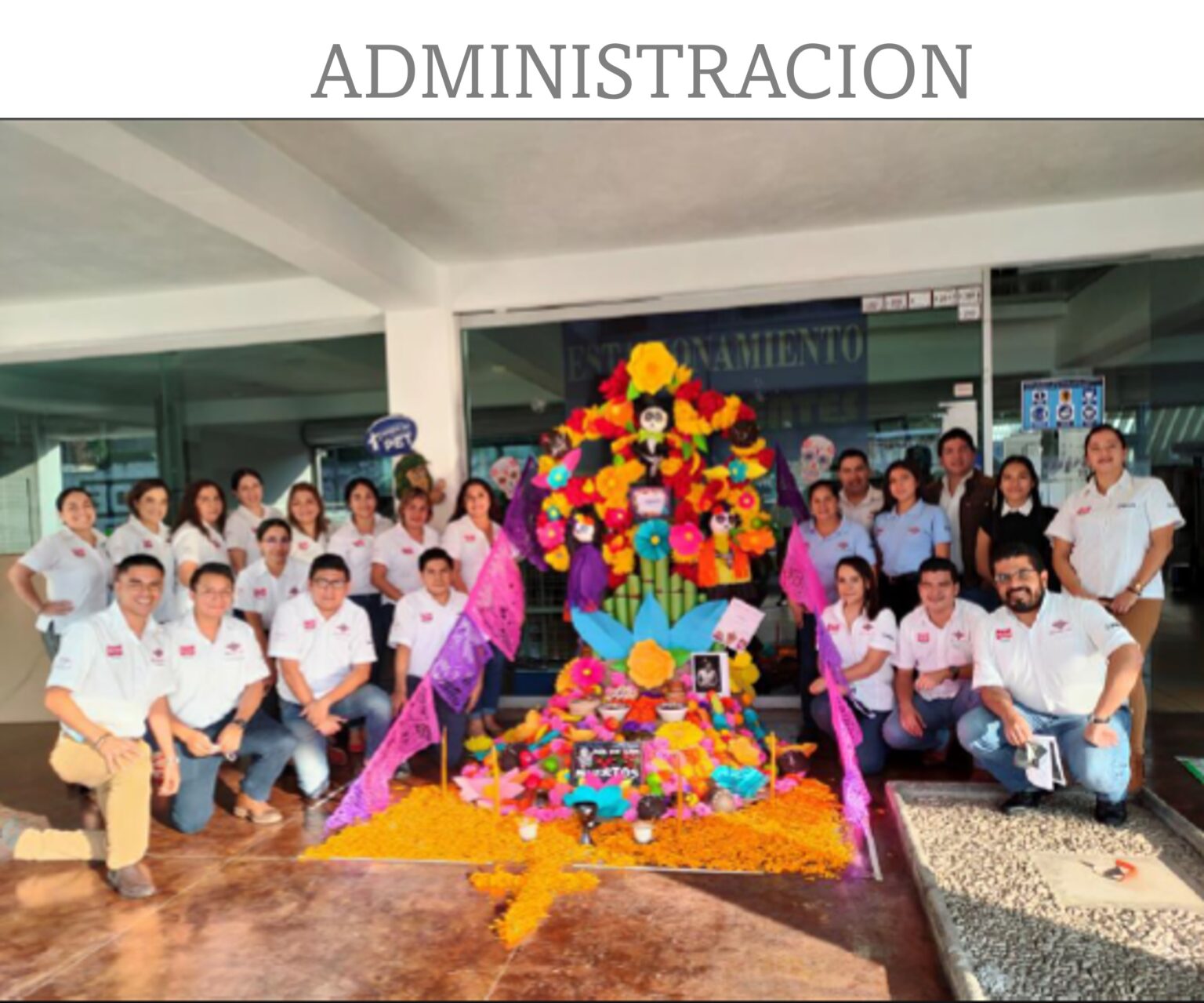 Quiénes Somos - Dipath